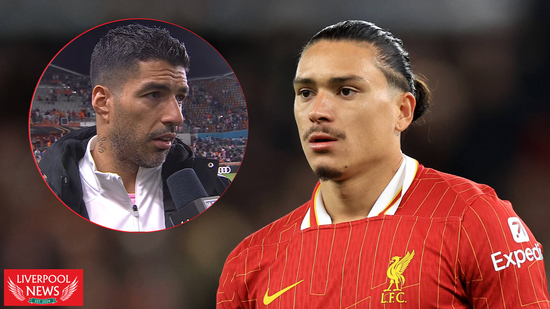Luis Suarez sends message to Darwin Nunez ahead of Liverpool return